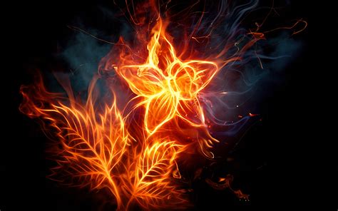Download Fire Artistic Flower Hd Wallpaper
