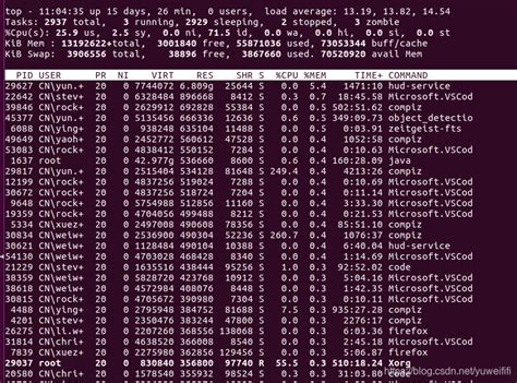 Linux 查看进程及进程内存使用情况进程使用的可用物理内存百分比 Csdn博客