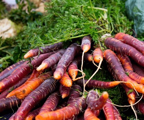 How To Grow Spring Root Vegetables Black Gold