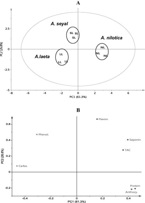 Score Scatter Plot A And Score Loading Plot B Of Pca Of Three
