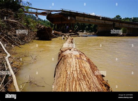 Bridge Collapse Hit By Tree Trunk Stock Photo Alamy
