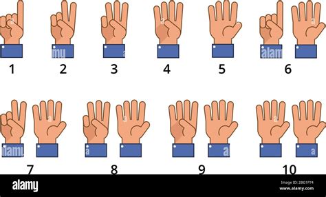 Counting Hand Countdown Gestures Language Number Flat Signs Isolated Countdown Hand Finger