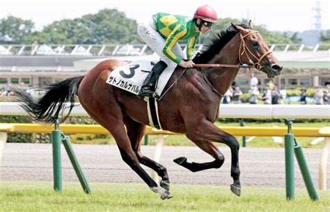 【注目馬動向】新馬戦圧勝のサトノカルナバルは佐々木大輔騎手との新コンビで函館2歳sへ 競馬ニュース Netkeiba