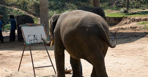 Microsoft Kills Own Big Data Project In Favor Of Open Source Wired