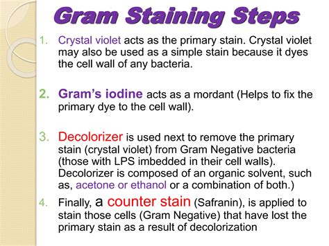 Stainings 160406124050pdf Staining Ppt Pdf