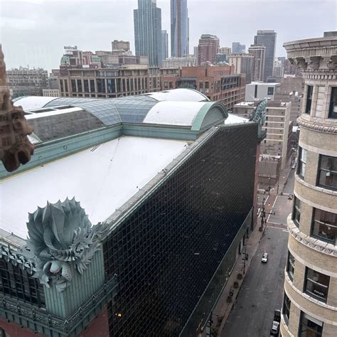 Nikolays Genetics Lessons On Linkedin Nikolays Genetics Lessons Youtube