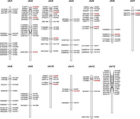 Distribution Of The Ssr Markers Significantly Associated With Seed Download Scientific Diagram