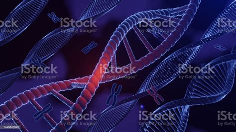 Dna Spiral Structure Dna Helix Complementary Strand Of Sequences Genetic Code Or Genome Gene