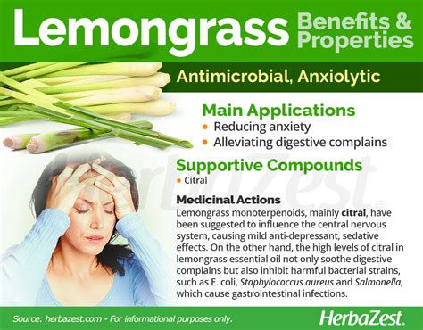 Lemongrass Herbazest