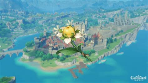 All Sweet Flower Locations In Genshin Impact The Nerd Stash