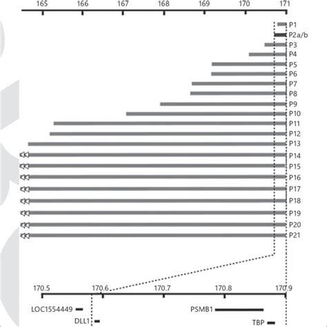 Size Extent And Genomic Content Of The 6q27 Deletions Deleted Download Scientific Diagram