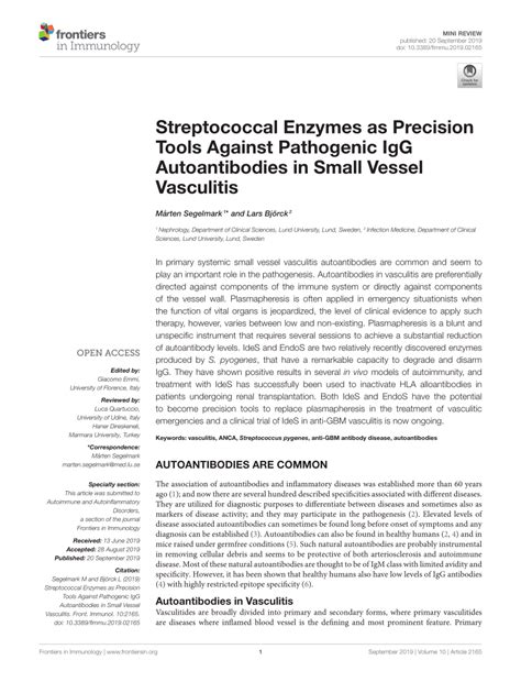 Pdf Streptococcal Enzymes As Precision Tools Against Pathogenic Igg Autoantibodies In Small