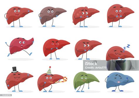 귀여운 간 긍정적이 고 부정적인 감정 기관 벡터 일러스트 레이 션을 설정 합니다 간 내부 기관에 대한 스톡 벡터 아트 및 기타 이미지 간 내부 기관 개념 건강관리와