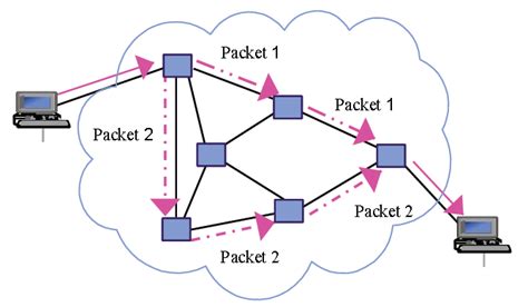 Network Protocols And Packet Switching Iriss Computer Science Site