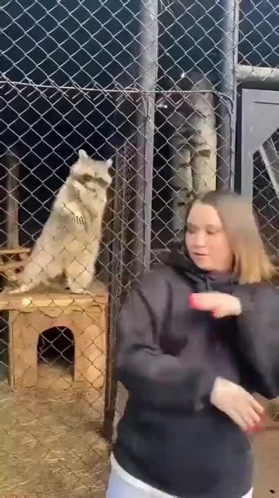 Laxman Singh On Linkedin 😊 😎 Follow Dance Steps To Enjoy Sunday Lets