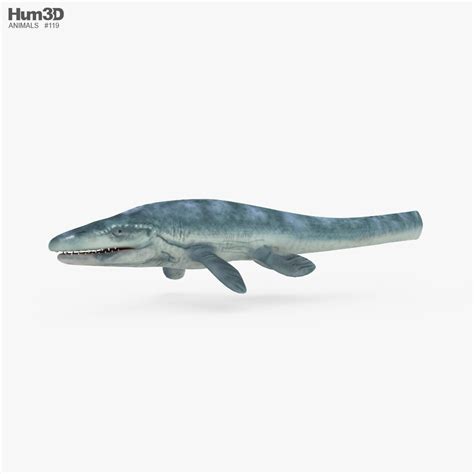 Mosasaurus Low Poly Rigged Animated 3d Model Download Dinosaur On