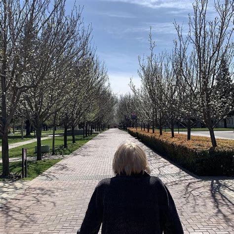 Pixie All Of The Black Rod Iron Around The Entire Park Was Given A