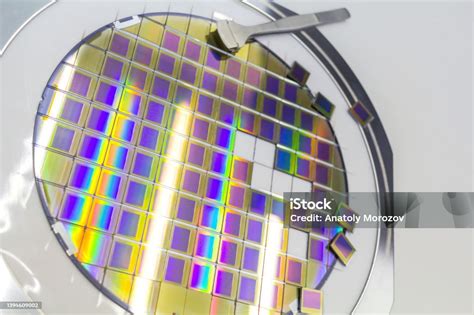 마이크로칩이 있는 실리콘 웨이퍼는 다이싱 과정 후에 회색 배경에 강철 프레임이 있는 홀더에 고정된다 트위저로 마이크로칩 분리 0명에 대한 스톡 사진 및 기타 이미지 Istock