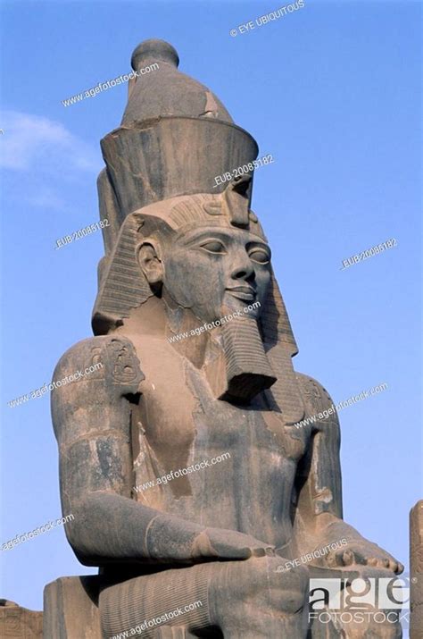 Ramsis Object Detection Dataset And Pre Trained Model By Statues