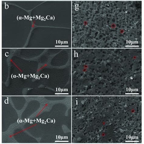 The Optical Metallographic Microstructures Of Mg In Ca Alloys A Download Scientific Diagram