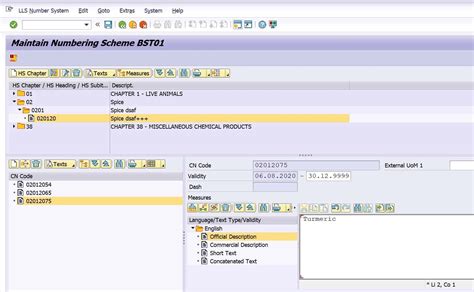 Transfer Commodity Code From Sap Gts To Sap Ecc System Sapboost Com