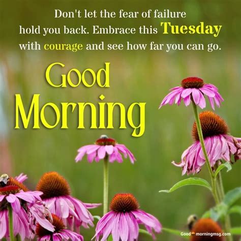 280 Tuesday Good Morning Blessings Quotes And Images Goodmorningmsg