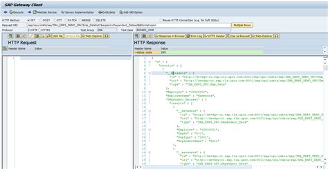 Sap Netweaver Gateway Example For Beginners Sap All