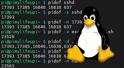 using the pidof command on linux pi my life up