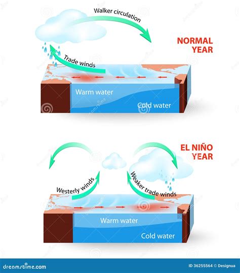Vector Infographic Cross Section Of El Nino South Stock Vector Illustration Of Australia