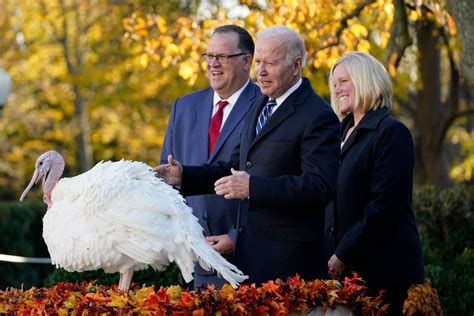 President Biden Pardons Two Turkeys At The White House Whyy