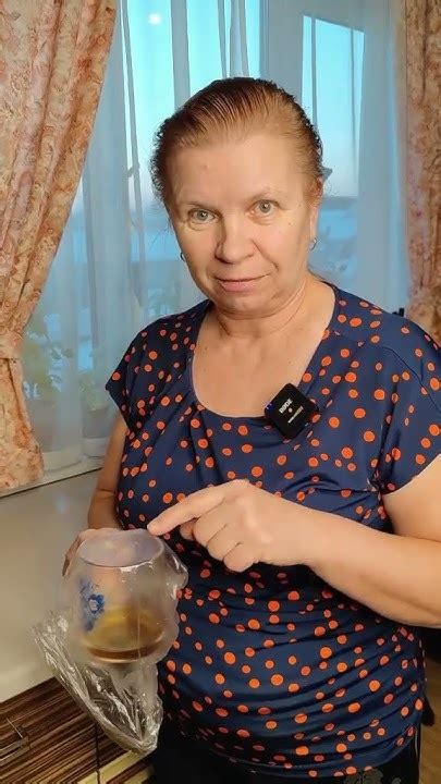 Ловушки для плодовой мошки дрозофилы Youtube