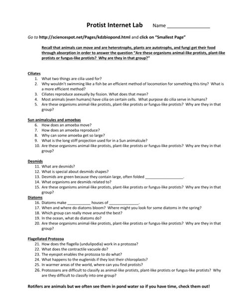 Protist Internet Lab Worksheet Ciliates Amoebas Diatoms