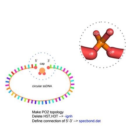 How Use Gromacs For Circular Dna Simulation Researchgate
