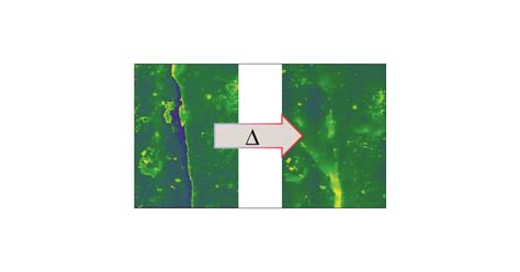 High Strength Healable Supramolecular Polymer Nanocomposites Journal Of The American