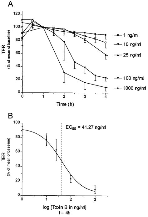 Effect Of C Difficile Toxin B On Transepithelial Resistance Ter A Download Scientific