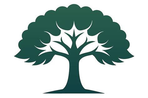 A Symmetrical Silhouette Of An Elm Tree With An Evenly Balanced Shape