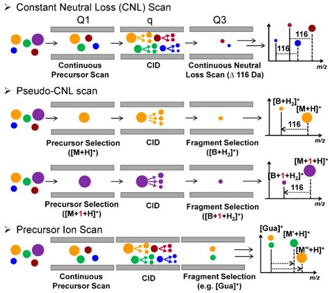 Emerging Technologies In Mass Spectrometry Based Dna Adductomics