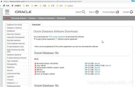 window10下的oracle12c下载和安装 图文教程 （一） oracle12c官网下载 csdn博客