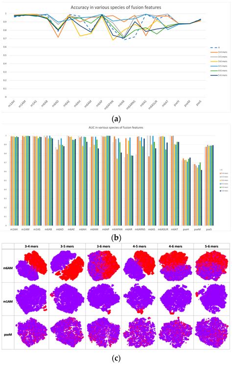 Interpretable Multi Scale Deep Learning For Rna Methylation Analysis