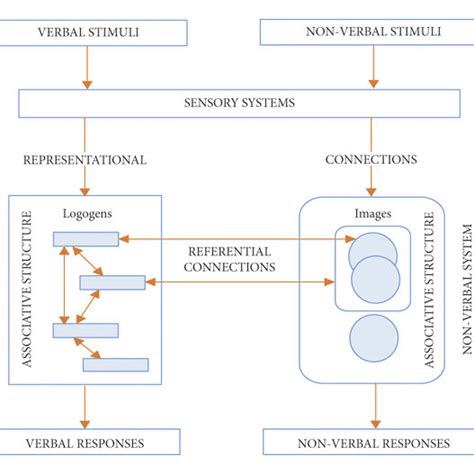 Proposed Diagram Of Dual Coding Theory Download Scientific Diagram