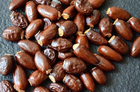 Lubang Buah Leci Biji Berwarna Coklat Buah Eksotis Biji Leci Matang Kering India Foto Stok