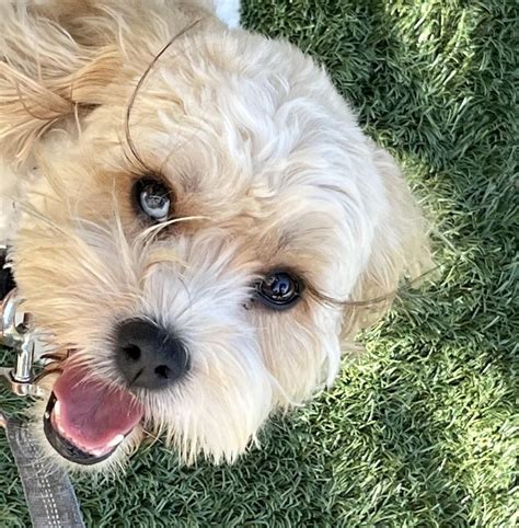 17 людей та тварин з унікальними особливостями тіла які роблять їх одними на мільйон ОЧМАНІТИ