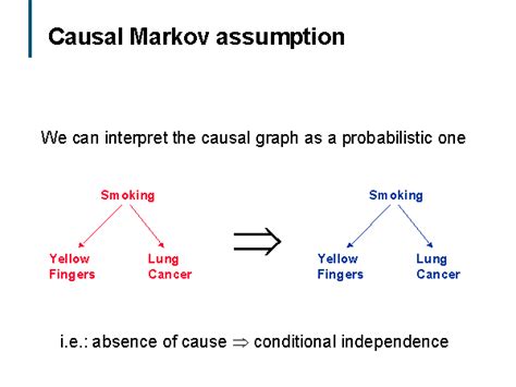 Causal Markov Assumption