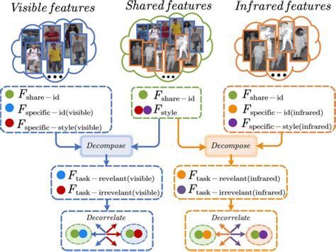 Figure 2 From Modality Bias Calibration Network Via Information