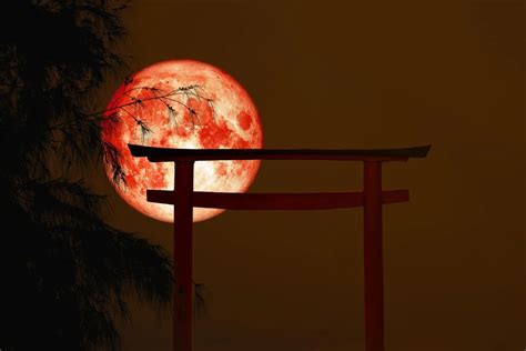 ზოდიაქოს 4 ნიშანი დღეს განსაკუთრებულად ფრთხილად უნდა იყოს Megatv Ge