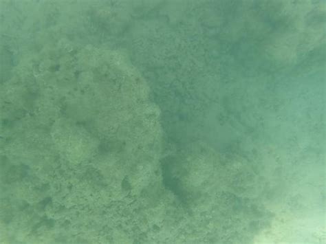 『奄美大島 Sup、観光、グルメ（その1）』奄美大島 鹿児島県 の旅行記・ブログ By Yuandchiさん【フォートラベル】