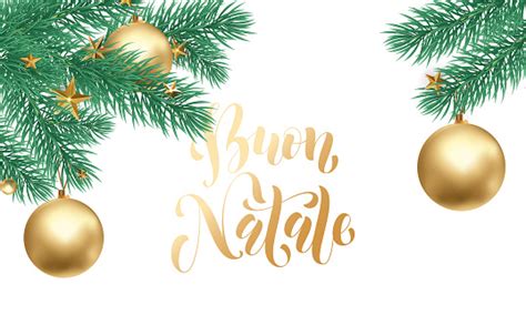 부 온 Natale 이탈리아 메리 크리스마스 휴일 황금 손으로 그린 크리스마스 스타 장식 장식의 인사말 카드에 대 한 서 예 텍스트입니다 흰 눈 배경 벡터 골든 글꼴 텍스트
