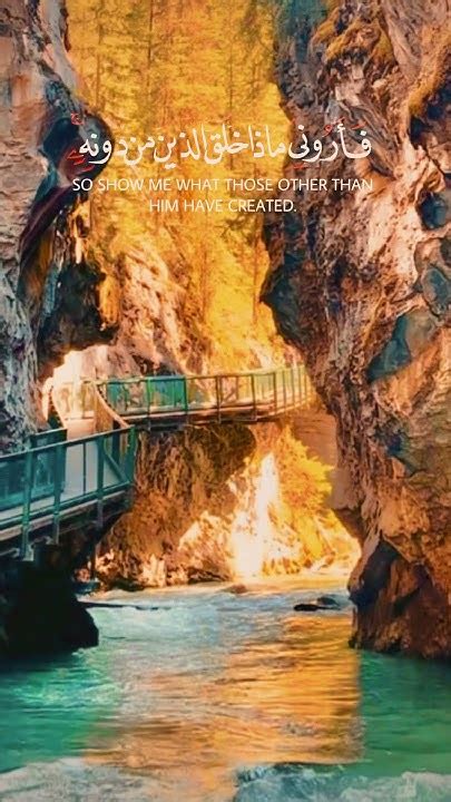هذا خلق الله فأروني ماذا خلق الذين من دونه بل الظالمون في تفسير ⬇️⬇️ Youtube