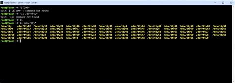 Serial Comm Directly From Unraid Terminal General Support Unraid