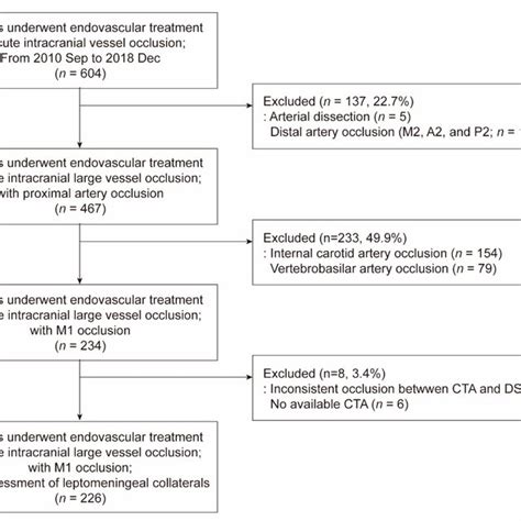 Patients Selection Flow Chart DSA Digital Subtraction Angiography Download Scientific Diagram